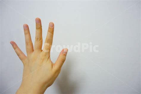 손가락 손바닥 하이파이브 Five Finger 사진 이미지 일러스트 캘리그라피 하랑작가