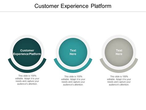 Customer Experience Platform Ppt Powerpoint Presentation Professional Show Cpb Powerpoint