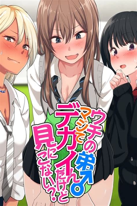 Series Recomendadas Si Te Gustó Uchi No Otouto Maji De Dekain Dakedo Mi