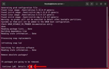How To Upgrade Ubuntu Server To From Best Practices