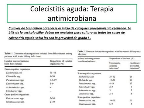 Colelitiasis Colecistitis Guias Tokyo