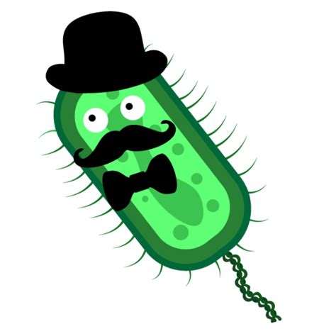 Complement Cascade Pathology And Ponies