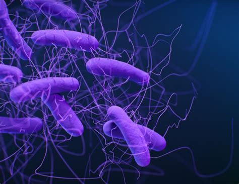 Exploring New Approaches To Diagnose C Diff Infections Cdc