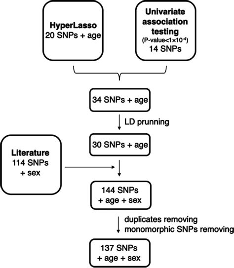 Searching For Improvements In Predicting Human Eye Colour From Dna Pmc
