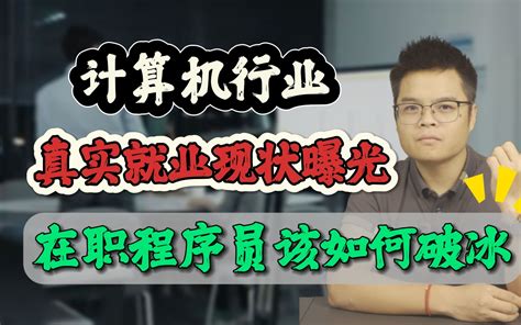 【计算机】计算机行业的真实就业现状曝光，在职程序员如何破冰 跟着mic学架构 跟着mic学架构 哔哩哔哩视频