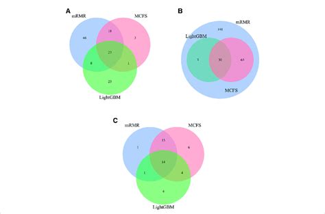 Intersection Results Of The Optimal Feature Sets Based On Different