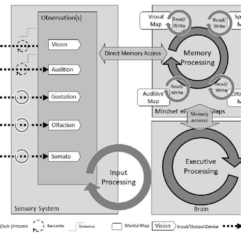 The Input Processing And The Memory Processing Of The Bip Model Download Scientific Diagram