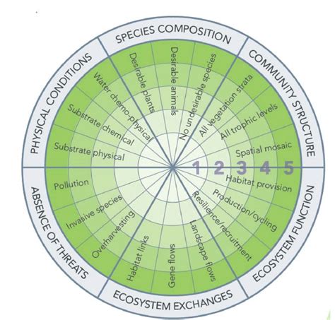 Ecosystem Attributes To Consider When Assessing Rehabilitation Success