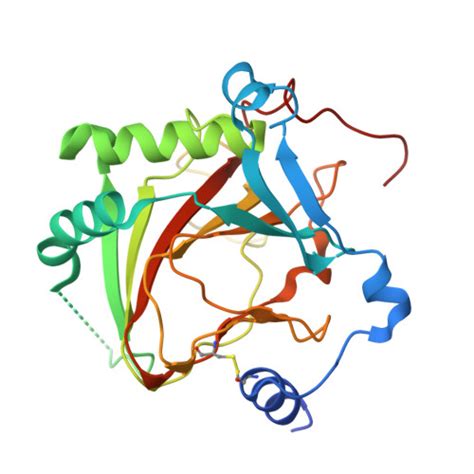 Rcsb Pdb 7zsc Crystal Structure Of The Heterodimeric Human C P4h Ii With Truncated Alpha