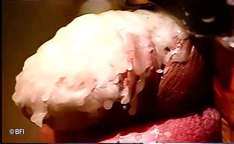 Free Extreme Hard Porn Videos Xhamster