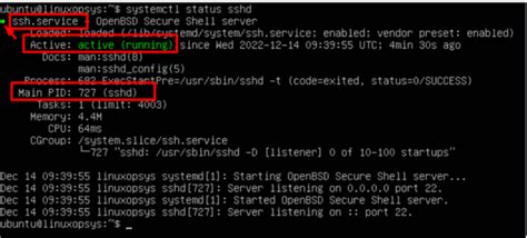 How to Use systemctl status Command to Check Service Status