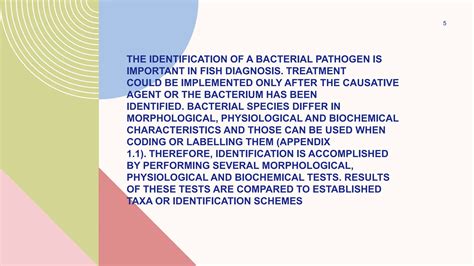 Isolation Of Bacteria Pptx