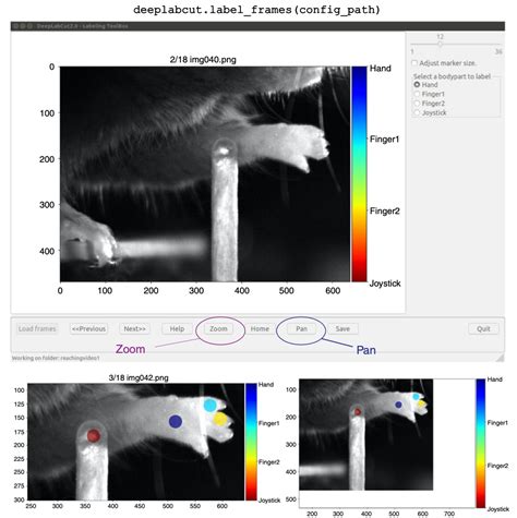Using Deeplabcut For 3d Markerless Pose Estimation Across Species And Behaviors