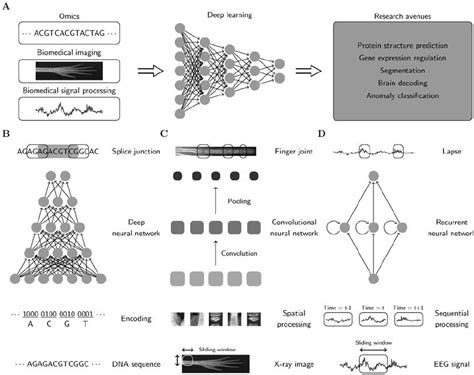 数字信号处理，如eeg信号，使用深度学习做的话，有什么思路？ 知乎