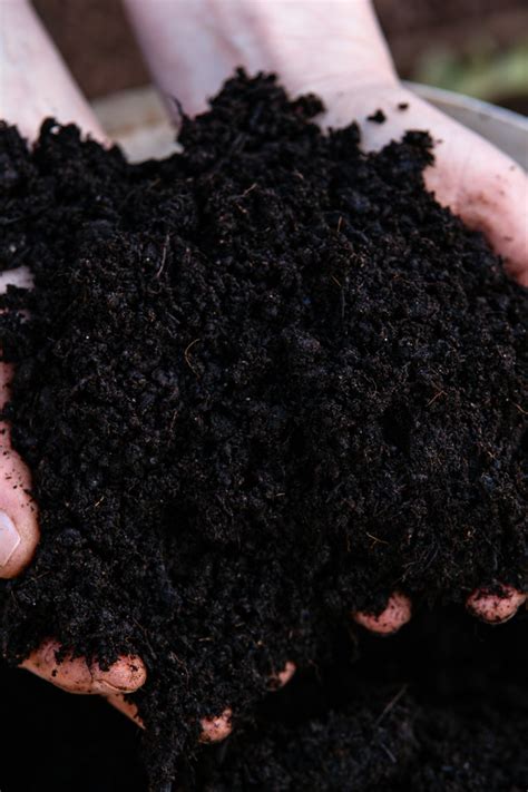How To Create Compost Fast 3 Secrets To A Fast Working Compost Pile