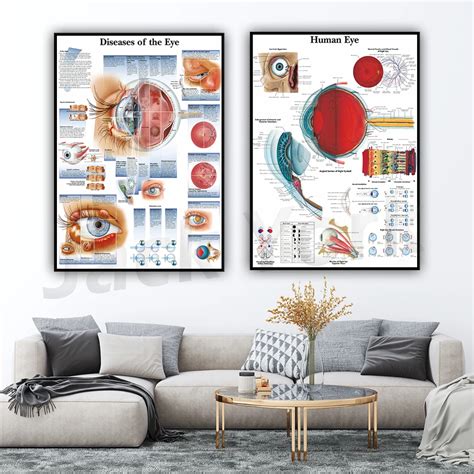 해부학 기능 인간의 눈 차트 아트 포스터 인쇄 몸지도 캔버스 회화 벽 사진 의료 교육 홈 장식그림 And 서예 Aliexpress