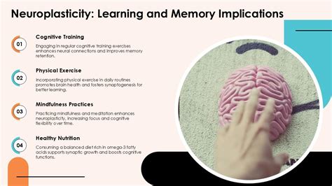 Neuroplasticity Learning And Memory Implications Synaptogenesis Ppt