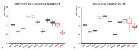 Brain Sciences Free Full Text Selection Of Reliable Reference Genes For Analysis Of Gene