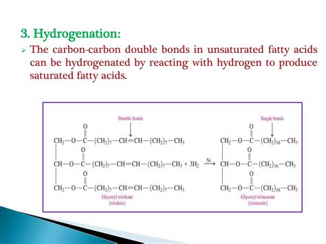Lipids Properties Classification Function Pptx