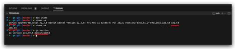 macOS darwin amd64 vs Darwin x86 64 All In One xgqfrms 博客园