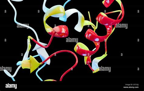 Molecular Structure Of Human Insulin Like Growth Factors Biological