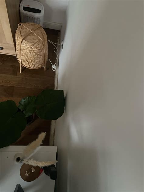 How To Neatly Fill Gap Between Floorboards And Wall Rdiyuk