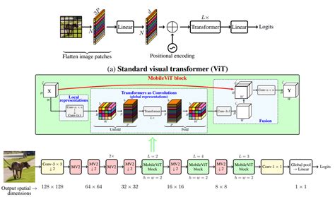 notes week48 spatial transformer networks 吳至憲 medium