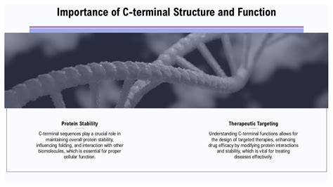 Top 10 Container Terminal Powerpoint Presentation Templates In 2025