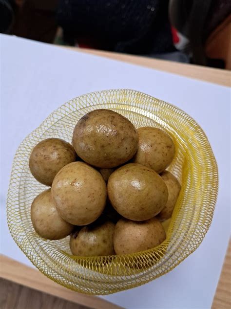 🎯 용과와 용안용의눈 과일 자연풍경 캐시피드