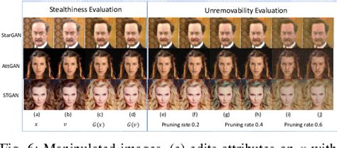 Figure 6 From Fingerprinting Image To Image Generative Adversarial Networks Semantic Scholar