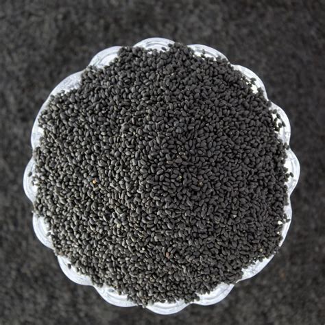 Sabja Basil Seeds At Rs 440kg Basil Seeds In Surat Id 2851590373255