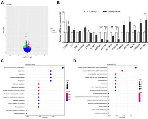 Single Oocyte Transcriptome Sequencing A Volcano Plot Displaying Download Scientific Diagram