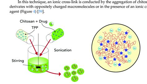 Synthesis Of Nanoparticles Based On The Ionic Crosslink Method