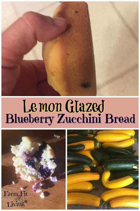 Lemon Glazed Blueberry Zucchini Bread Farm Fit Living