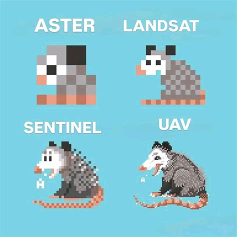 Gis Understanding Spatial Resolutions Aster Landsat Sentinel And Uavs In Remote Sensing