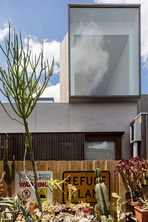 Stacked Windows Face A Year Old Tree In Panovscott S Sydney Cottage Extension