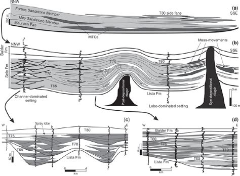 Schematic Cross Sections Illustrating The Nature And Distribution Of Download Scientific