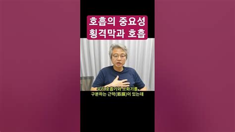 호흡 숨 횡격막 횡격막호흡 호흡의중요성 Youtube