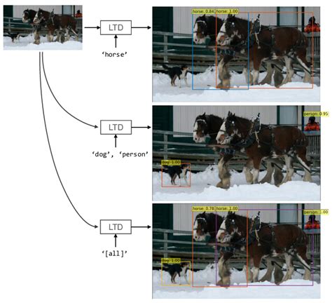 Language Targeted Detector Ltd Detects All The Target Objects In An