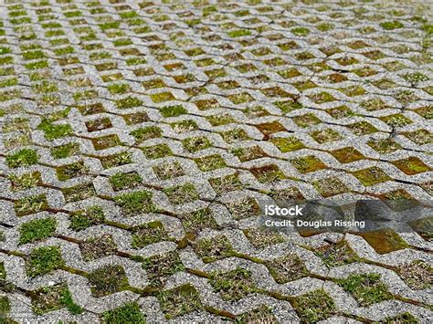 포장된 주차장 표면과 도로의 솔루션으로 표면과 현장에서 직접 물을 흡수할 수 있습니다 콘크리트 타일에는 잔디가 자라는 곳에 흙으로 채워져 있거나 자갈 자갈이있는 관절이