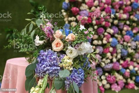 꽃된 웨딩 벽입니다 장미와 수 국 색의 장식 행사 및 사진에 대 한 웨딩 벽입니다 0명에 대한 스톡 사진 및 기타 이미지 0명 감정 개념 Istock