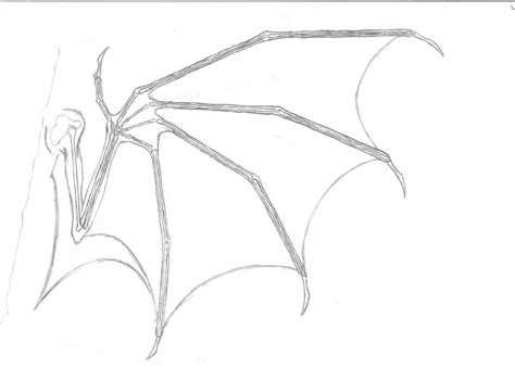 Demon Wing Drawings Google Search