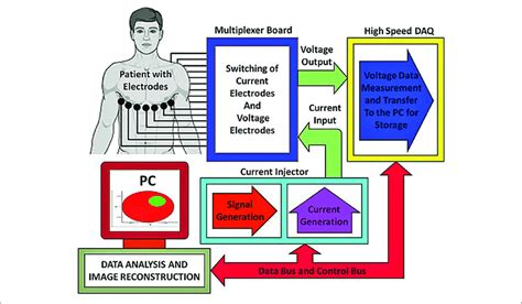 Schematic Of An Eit Instrumentation System [adapted From Bera And Download Scientific Diagram