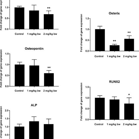 Histogram Represents Gene Expressions Of Col1a2 Osteopontin Alp