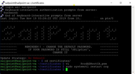 Sailpoint Identitynow Active Directory Source Tls Configuration