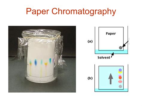 Planar Chromatography Ppt