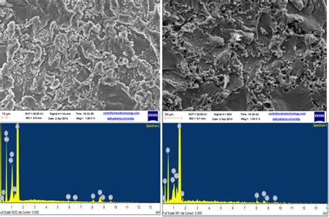 A Sem And Edax For Sample 1 B Sem And Edax For Sample 2 Download Scientific Diagram
