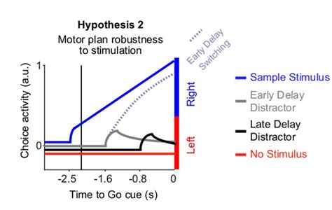 Cosyne 2020 Impressions Catnip Neural Dynamics Lab Computational