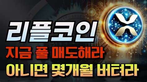 리플코인 Xrp 양자택일의 순간이네요 Youtube