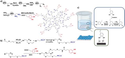 Mussel‐inspired Polyglycerol Polymers A Structure Of Dpg40 With 40